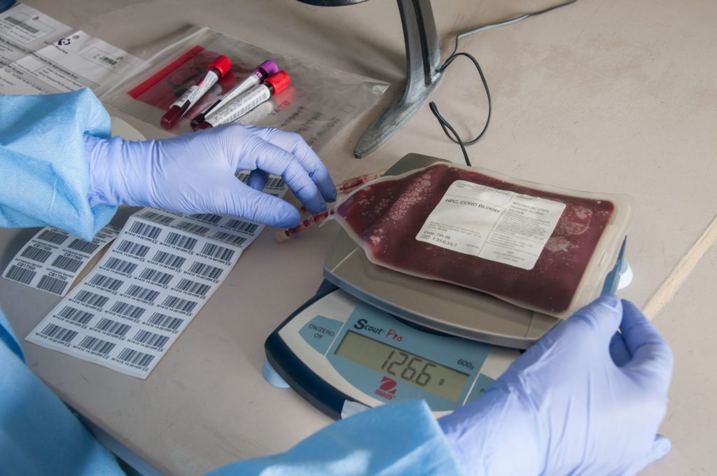 About Us - BioBridge Global