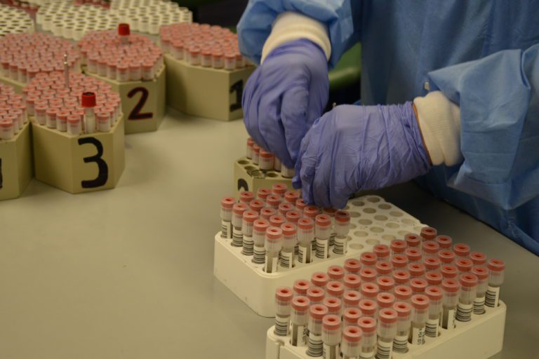 About Us - BioBridge Global