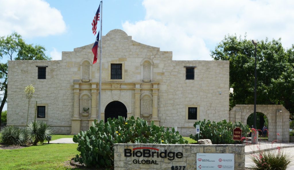 Employment - BioBridge Global