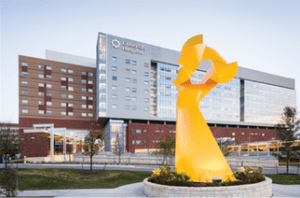 Professional Development - BioBridge Global