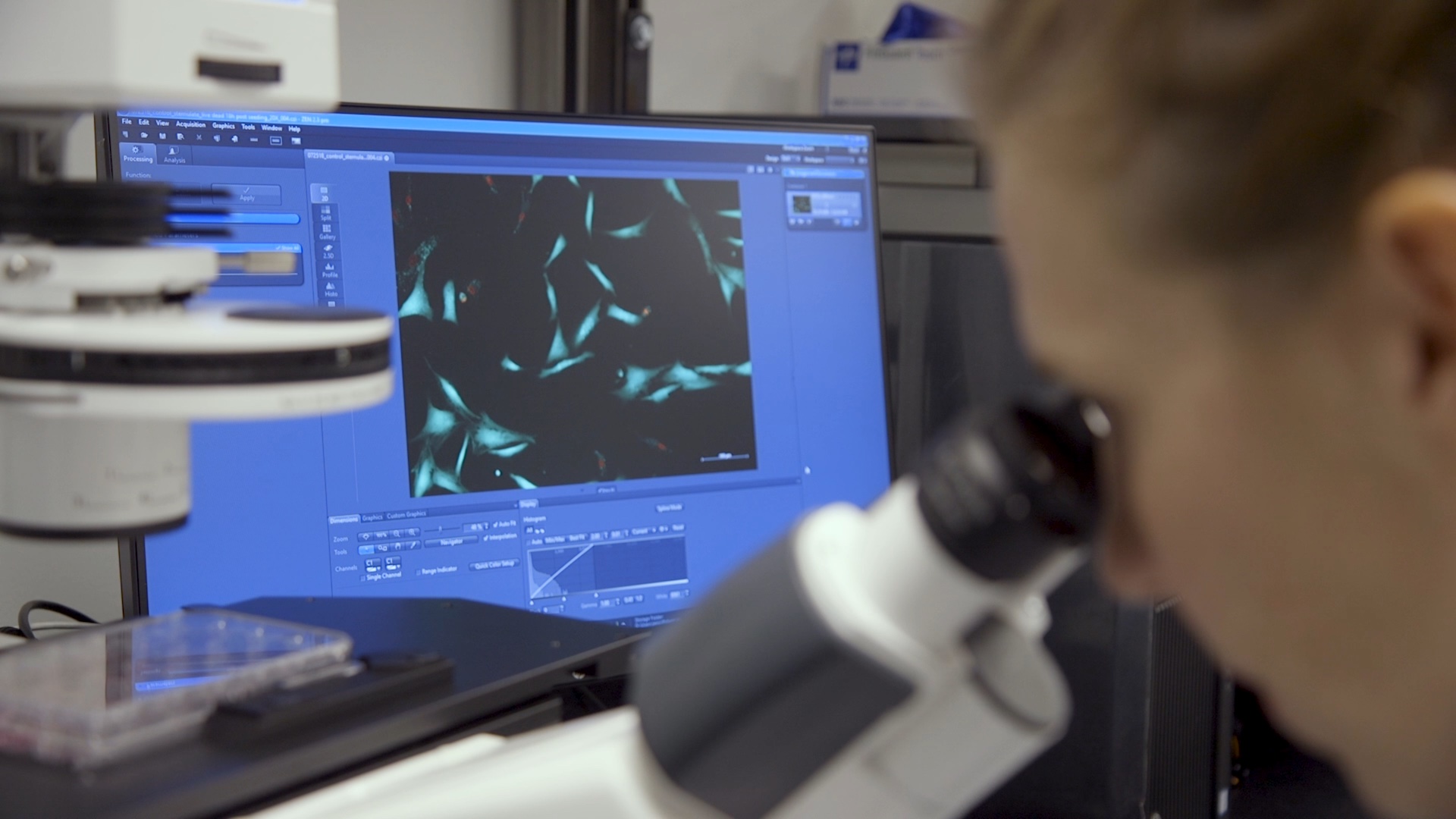 Custom Services - BioBridge Global