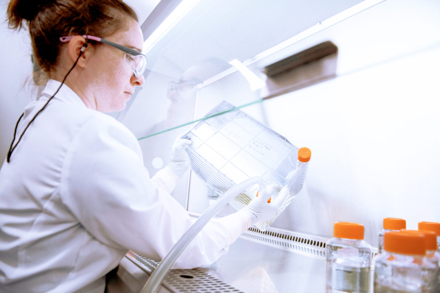 Process Development - BioBridge Global