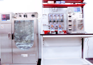 Process Development - BioBridge Global