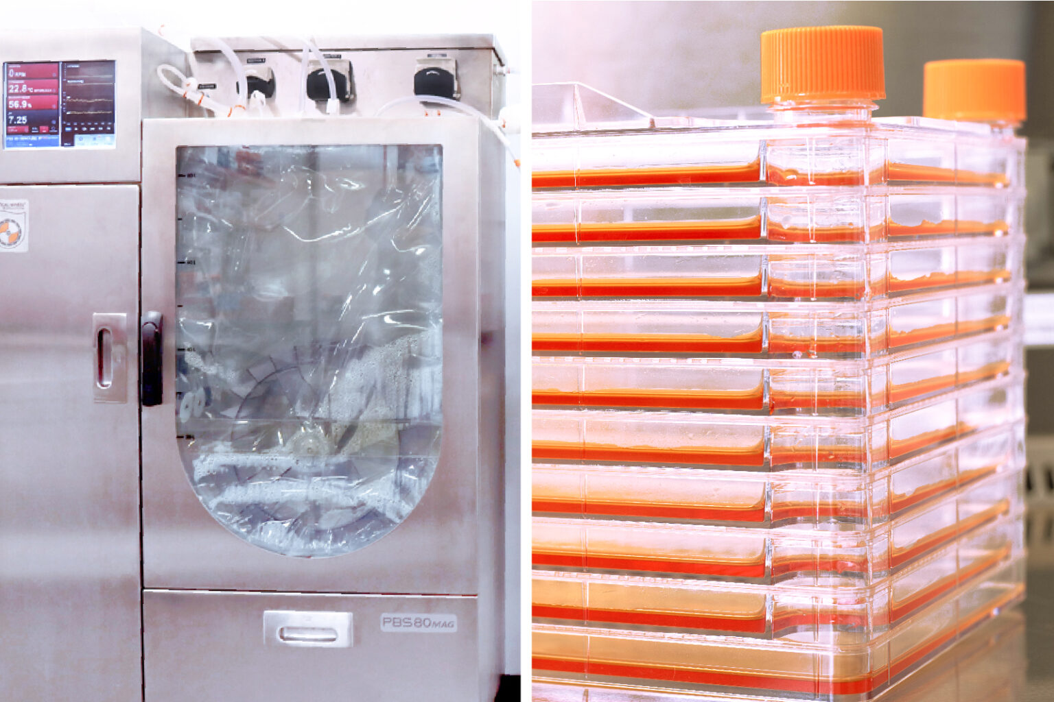 cGMP Manufacturing - BioBridge Global